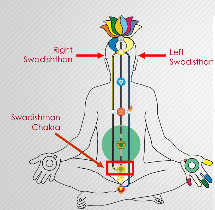 THE SWADISHTHAN CHAKRA | DIVINE SAHAJYOG